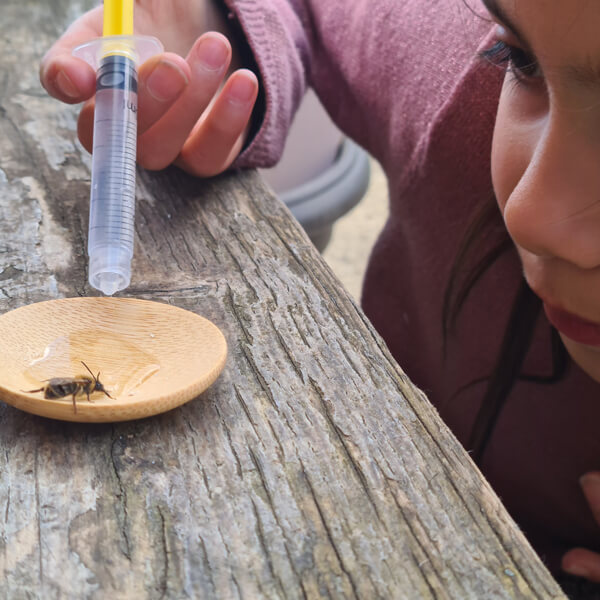 Lets celebrate Earth Day - Little Trekkers